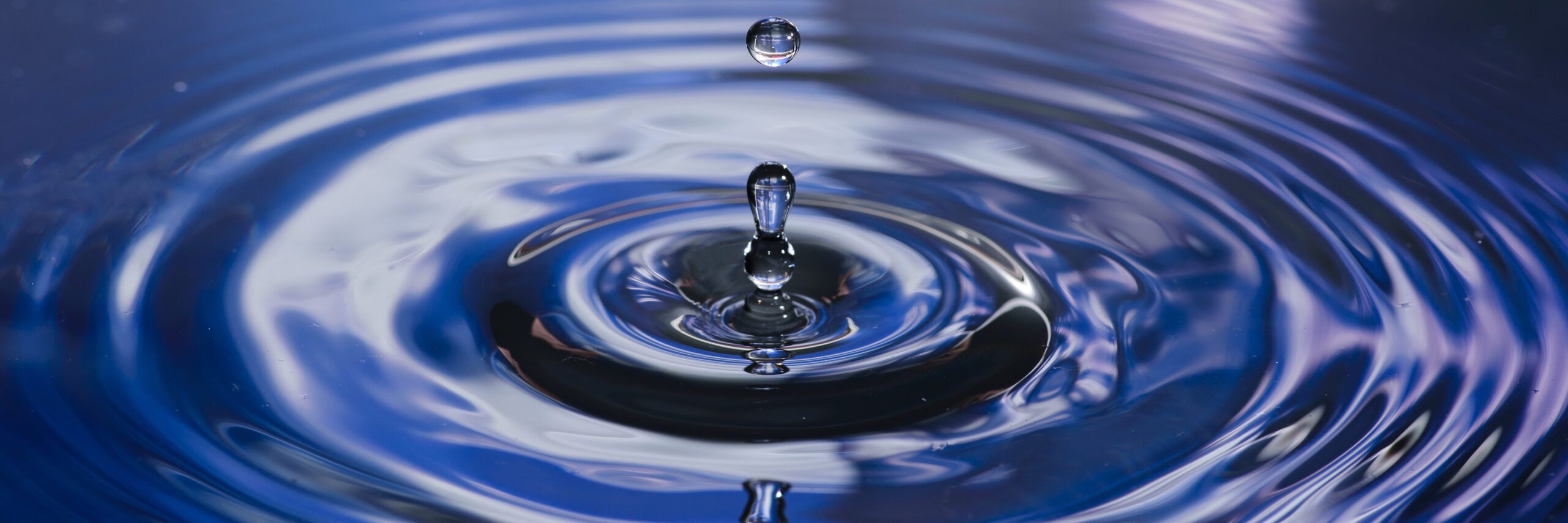 Reinsurance Partners | PartnerRe